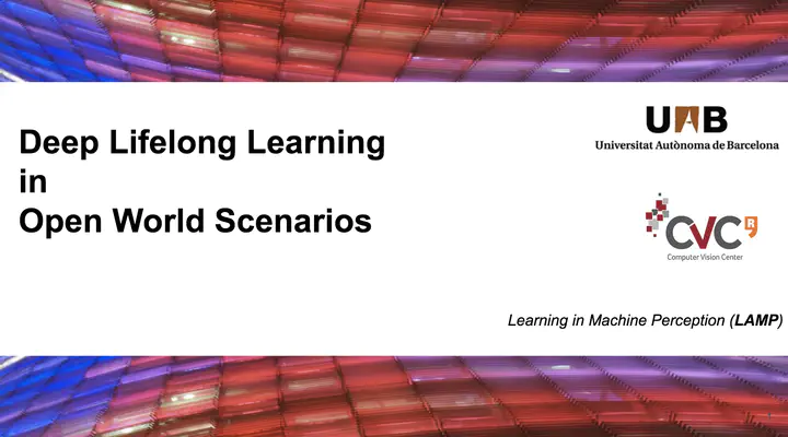 Deep Lifelong Learning in Open World Scenarios | Yaxing Research Group